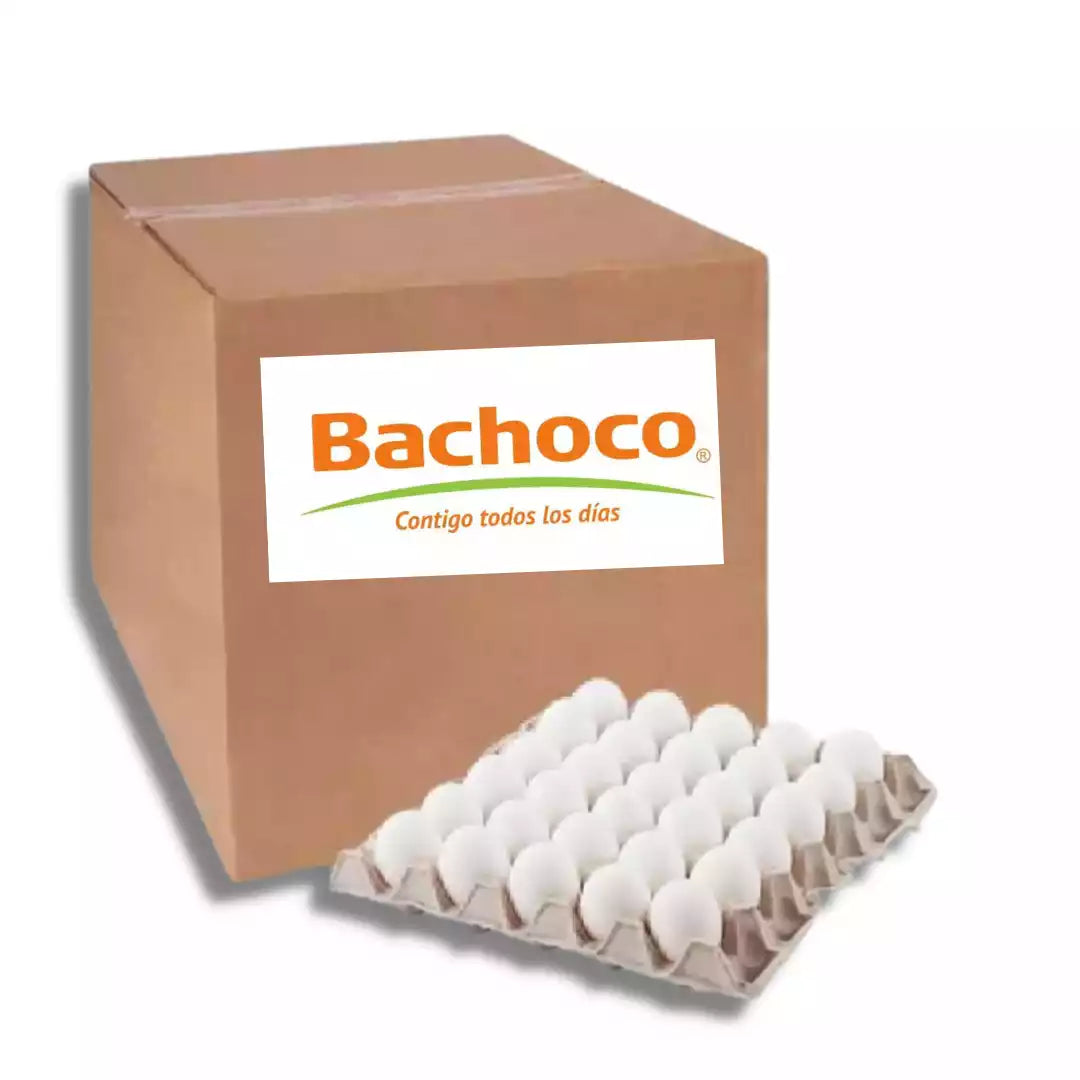 Huevo Bachoco Rancho (Rojo) 360 pzas – Super Mayoreo