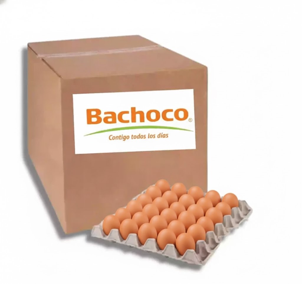 Huevo Bachoco Rojo 360 pzas – Super Mayoreo